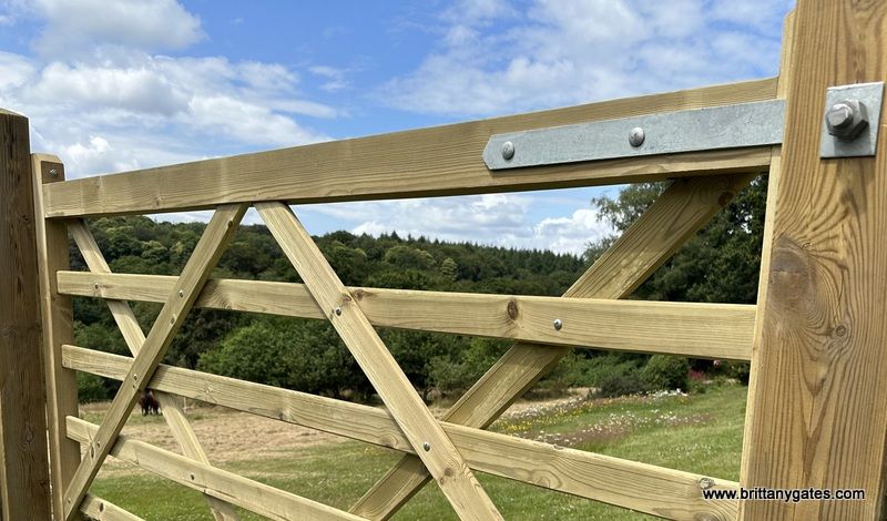 Our Gates