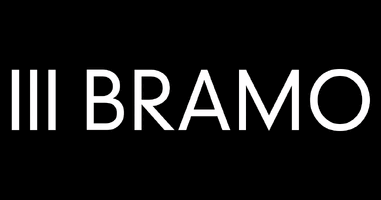 bramo we inspire movement